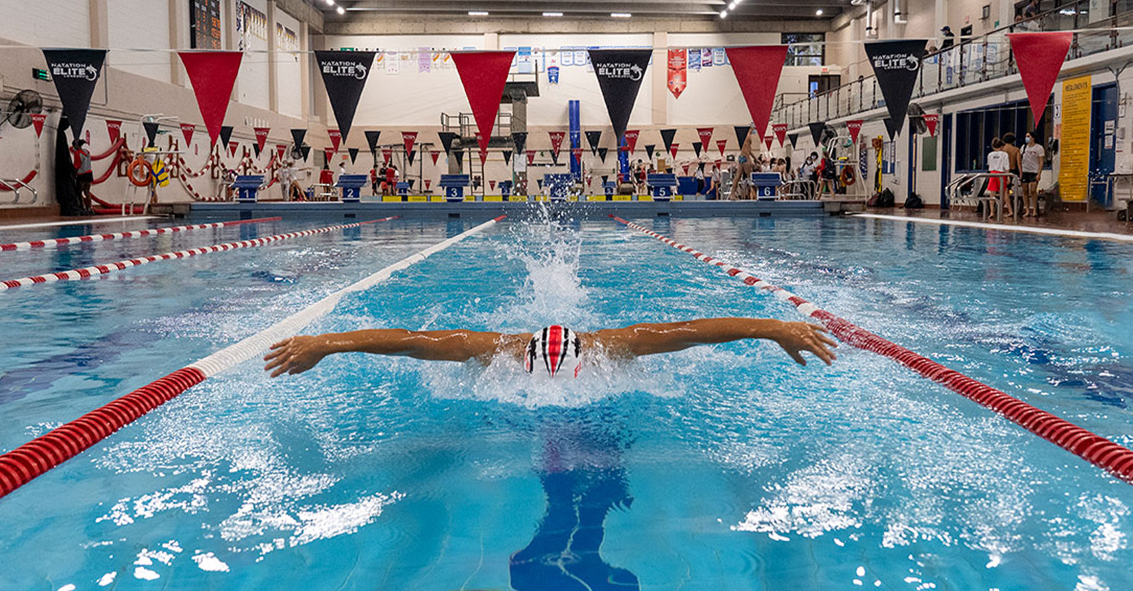 Groupe de compétition régional à national - Équipe de natation élite de ...
